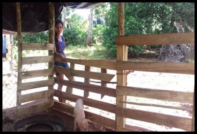 The Resources & Tools to Transform Meilly's Life ...