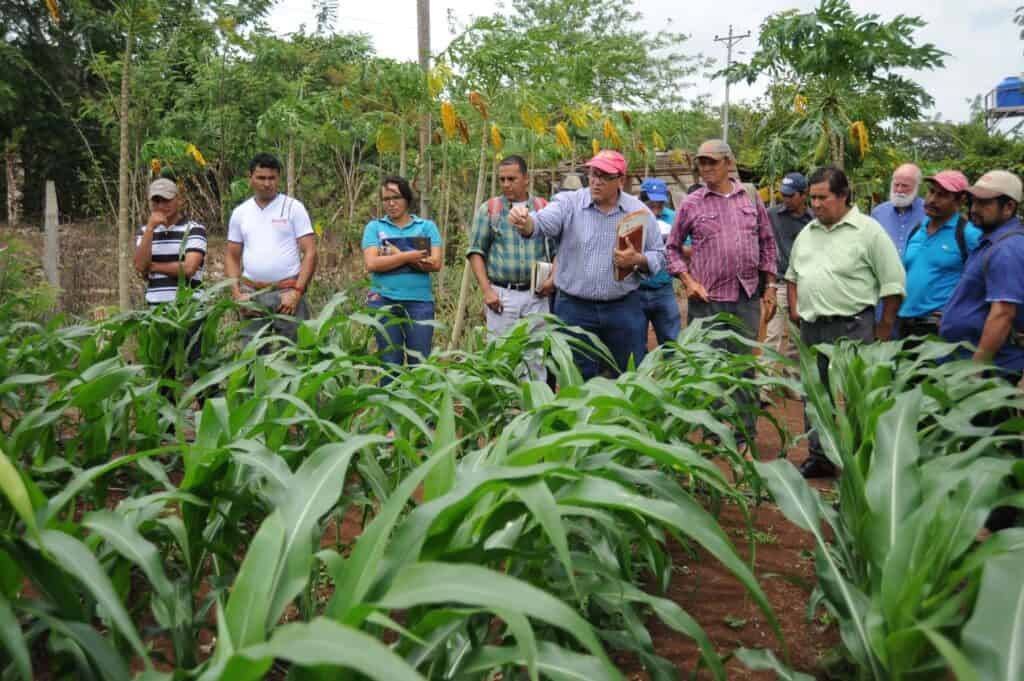 How Self-Help is Changing Lives of Nicaraguan Farmers Through Education ...