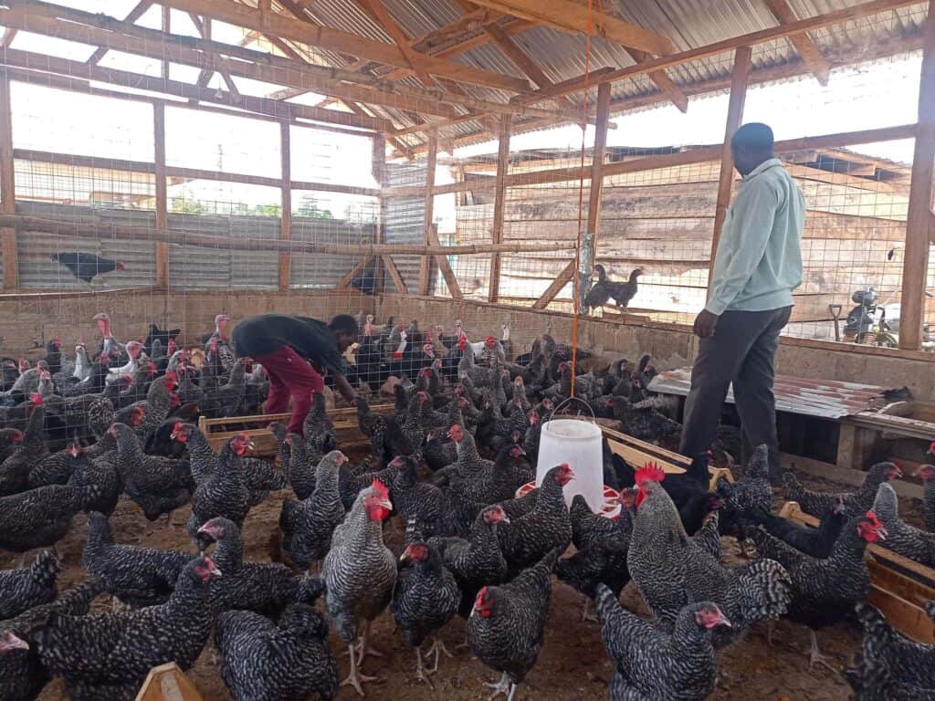 Empowering Rural Communities through Sustainable Agriculture ...