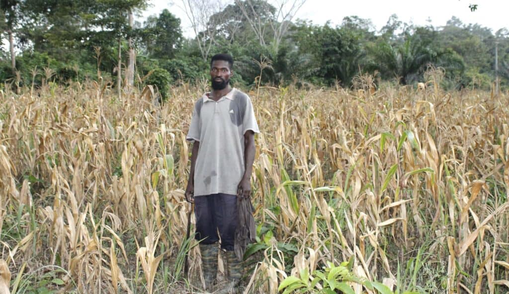Delayed Rains Leave Maize Fields Empty - selfhelpinternational.org