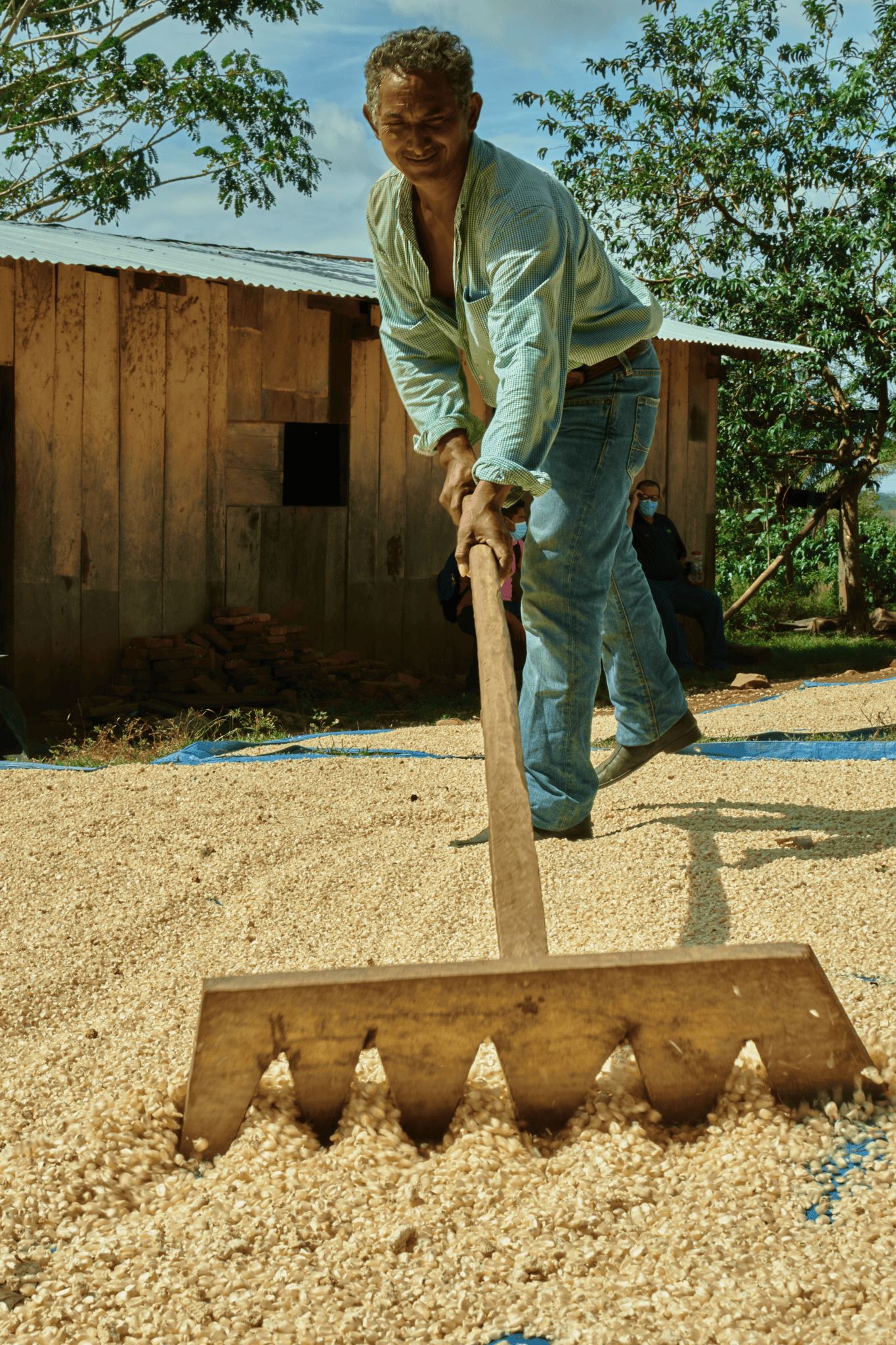 Home - selfhelpinternational.org