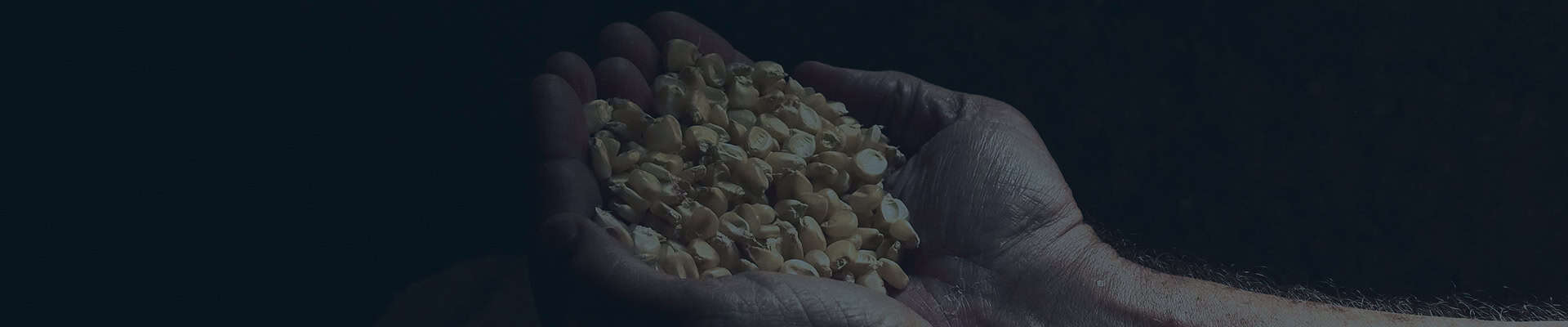 Overview of What We Do - selfhelpinternational.org